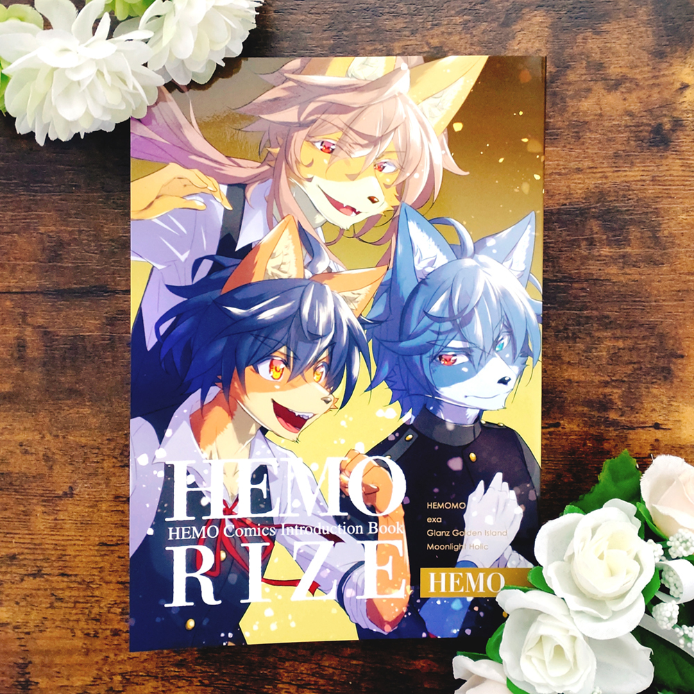 HEMORIZE HEMO Comics Introduction Book - HEMOMO | 同人誌通販のアリスブックス (Doujin ...